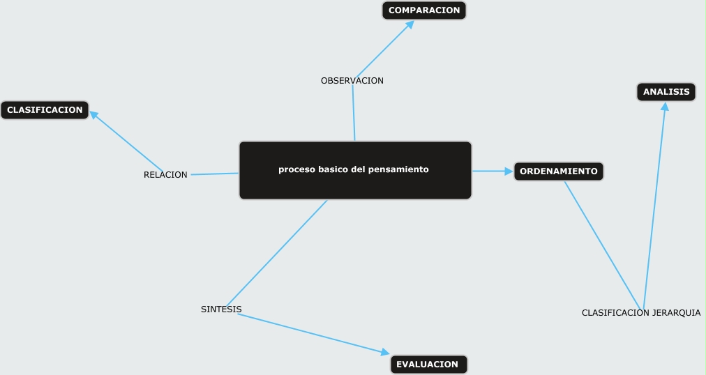 PROCESO BASICO DEL PENSAMIENTO